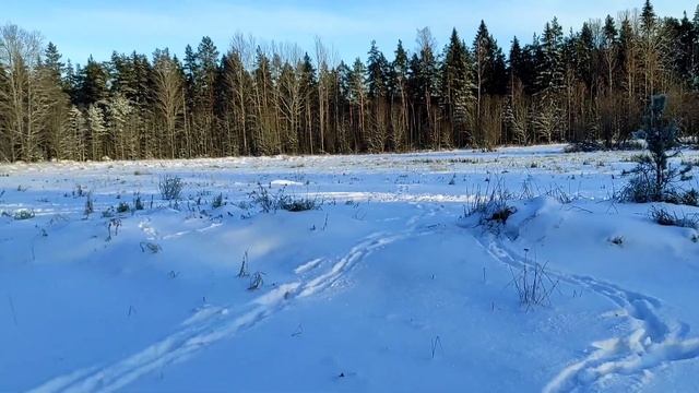 зимняя прогулка