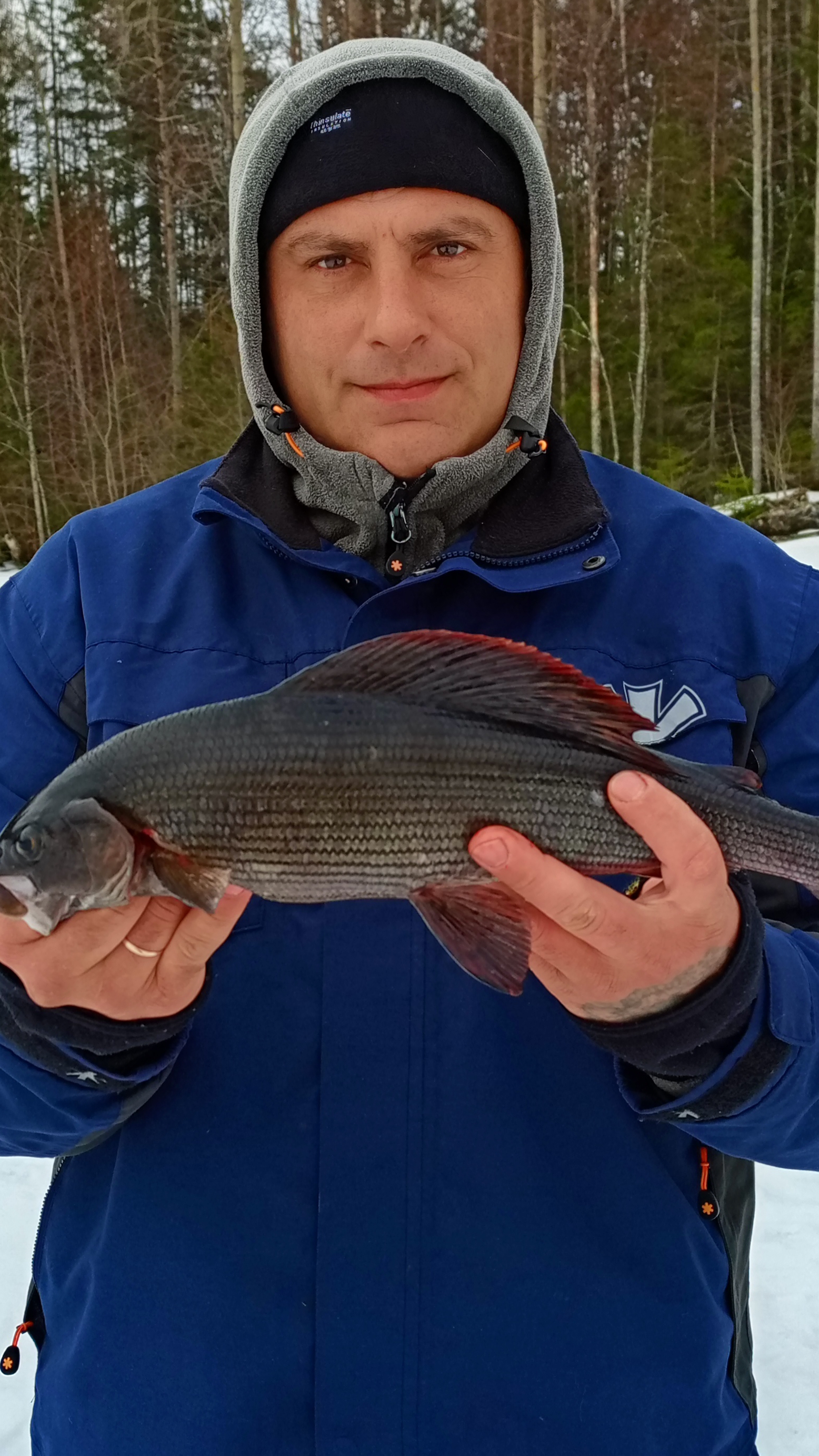 сиг на мормышку