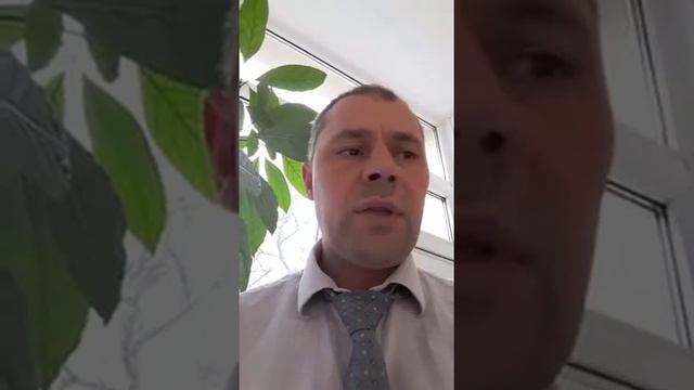 Отзыв клиента о работе Мариты Казакевич, Сергея Носкова и Антонины Солнышкиной