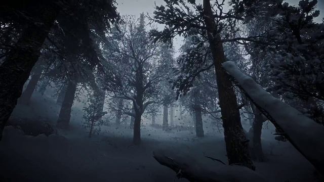 Звуки ветра со снегом ASMR в красивом зимнем лесу звучат в течение 10 часов