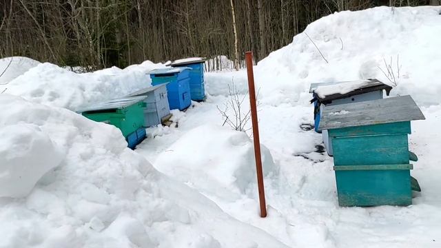 начало весны