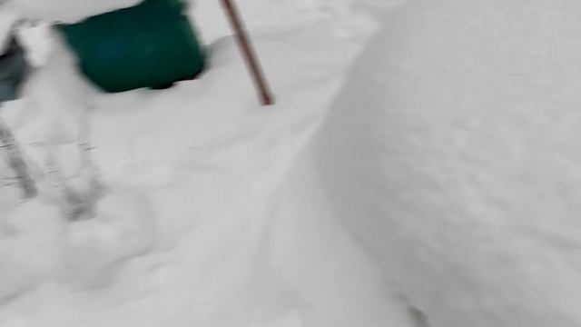 проблемма с семьей пчел