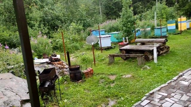 экстремальный главный медосбор))