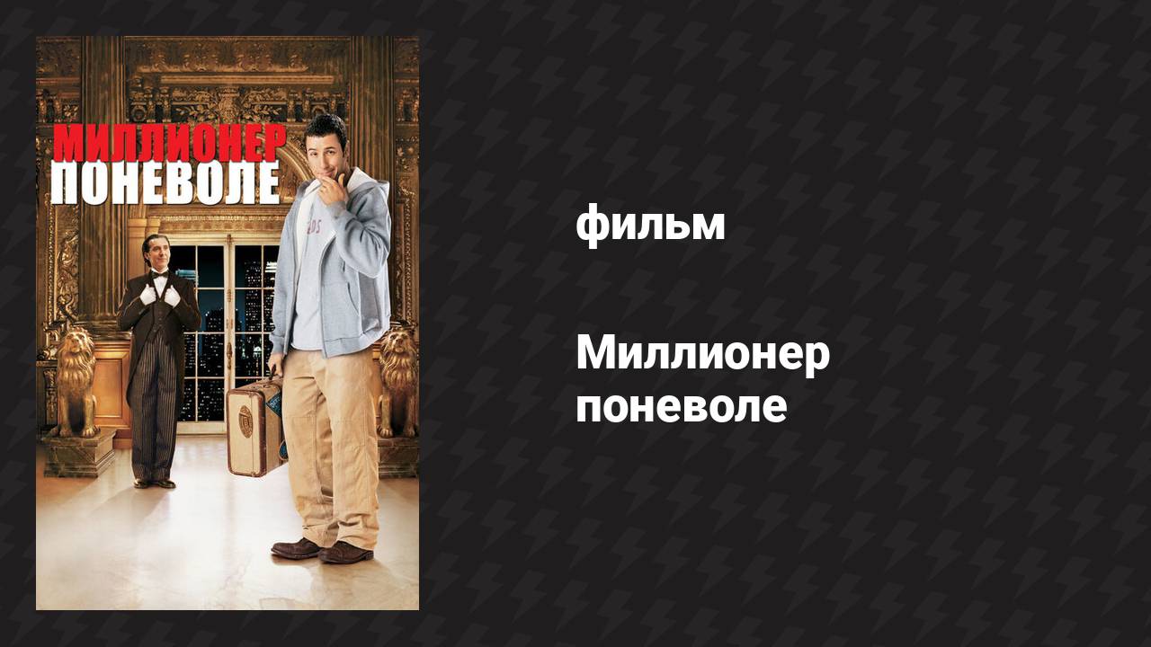 Миллионер поневоле (фильм, 2002)
