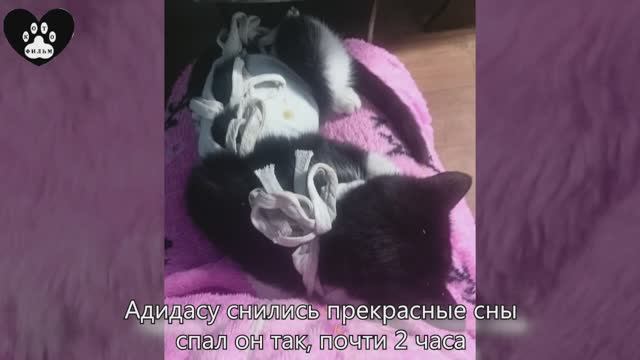 Двадцать седьмая серия