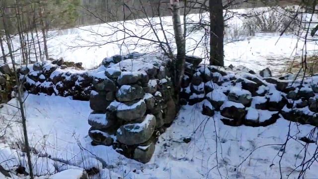 снова финский фундамент. зацветает первая ива.
