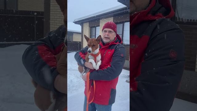 Отзыв. Понравился проект дома, планировка, все сделано очень грамотно