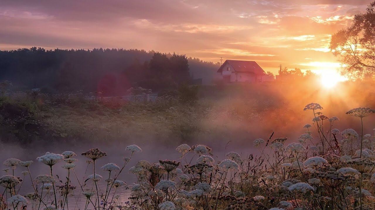 Подборка самых красивых мелодий/A selection of the most beautiful melodies