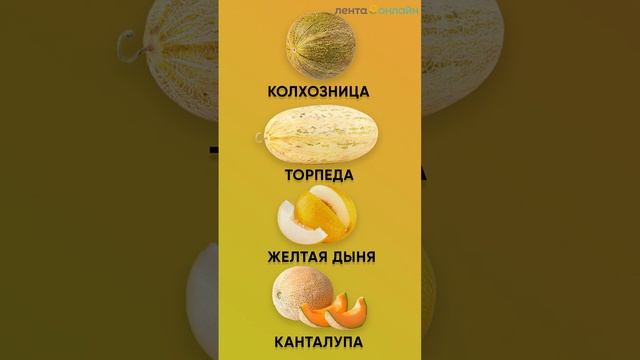Как выбрать арбуз и дыню