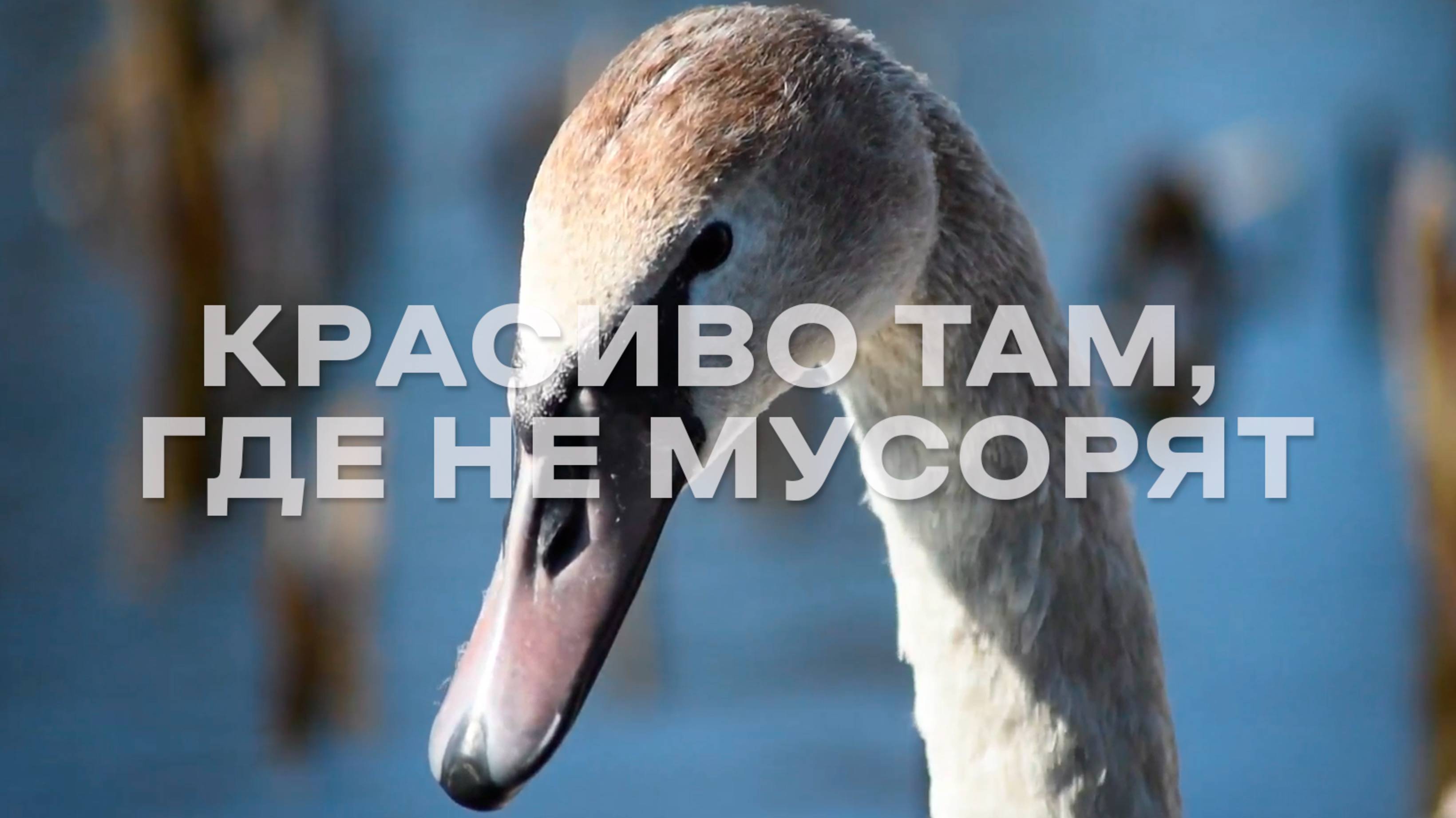 От автора канала