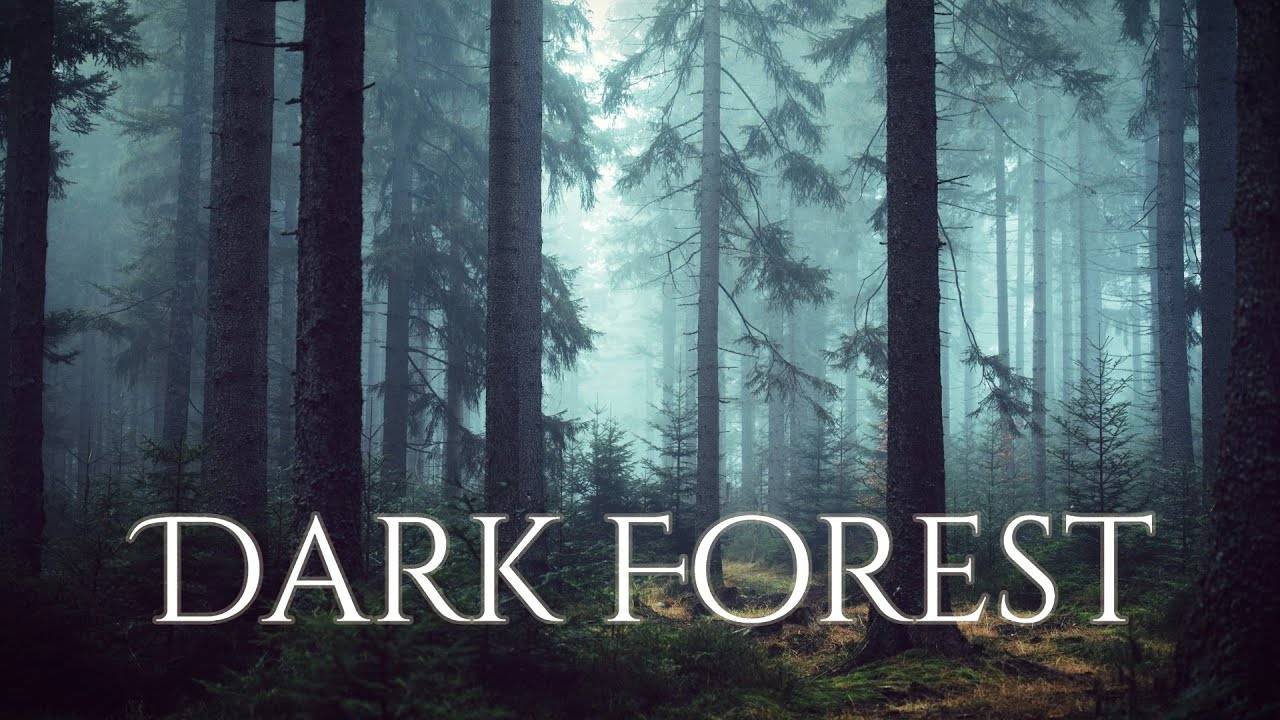 Dark forest/DND ambience/Grimdark/Fantasy/RPG playlist