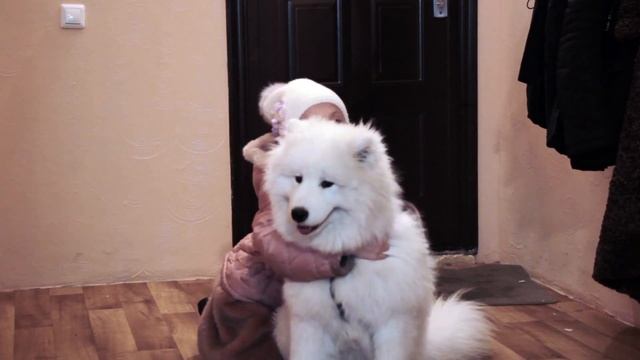 Киношки Приют для бездомных