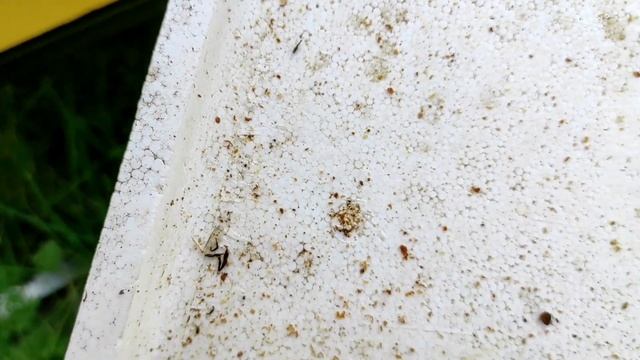 подготовка к зиме