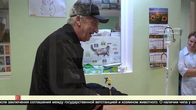 Бесплатное чипирование и стерилизация собак 02.12.2024