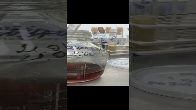 Икра исследования 3