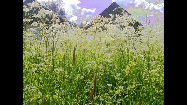 Федосьины  яблоки. Нина зорихина. Рассказ в  авторском  исполнении