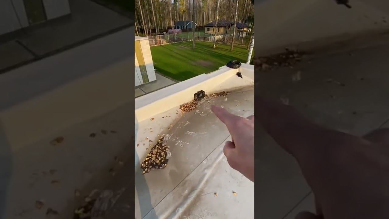 Плоская кровля