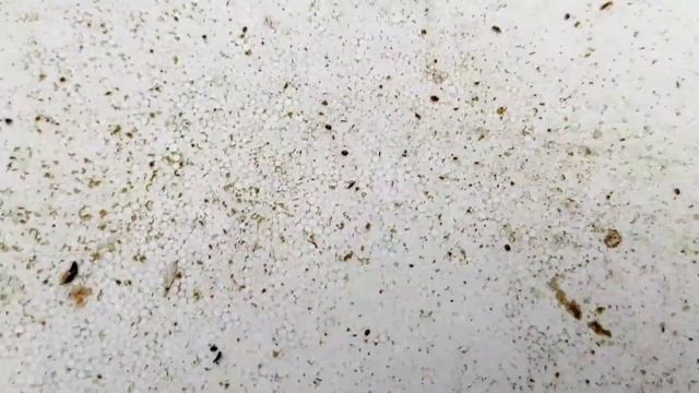 продолжаем контроль наличия клеща