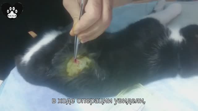 Двадцать шестая  серия