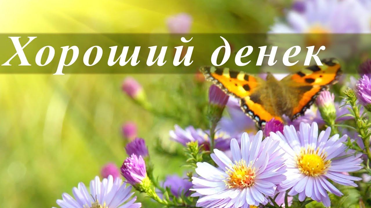 Хороший денек