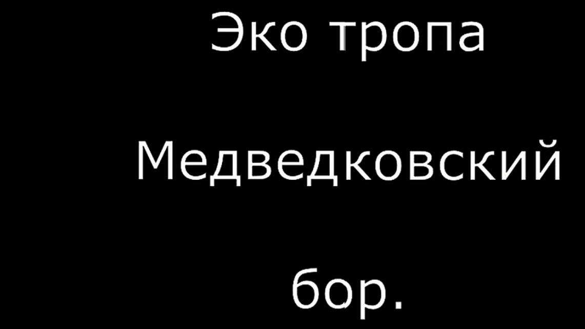 2) Медведковский бор. Эко тропа, Нолинский район. Вятка.
