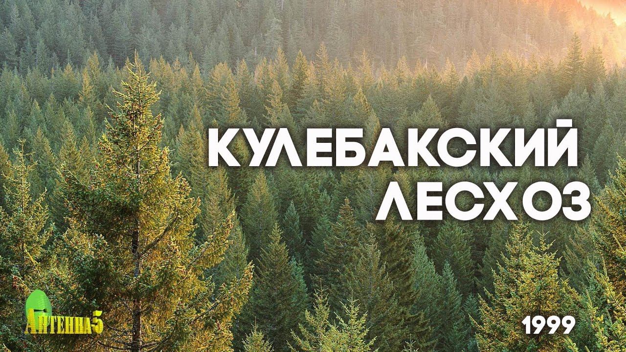 Антенна-5 | Кулебаки | Лесхоз. 1999 г.