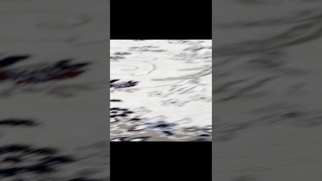 2275A_LIGHT BEİGE  LIGHT BEİGE овал