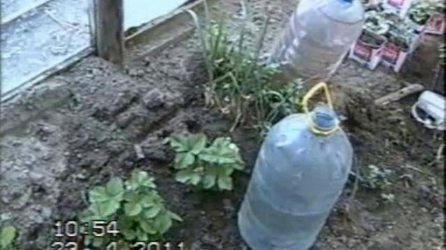 2011 Апрель Мама я