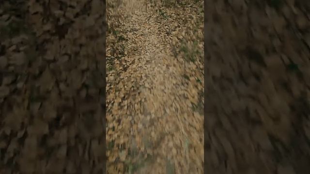 Мцыри. Наши дни. Видео к конкурсу «Лермонтов – новое прочтение»