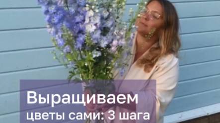 Как выбрать семена и посадочный материал для фермы