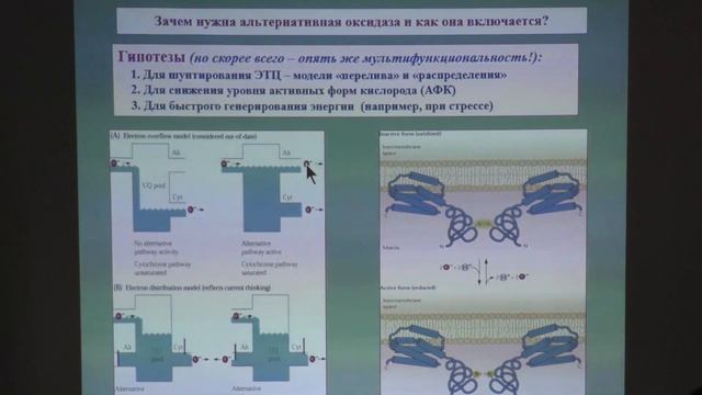 Носов А. М. - Физиология растений I - 3. Физиология растений