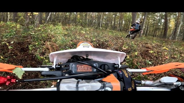 Лесная Анархия_Талица_21-09-2024