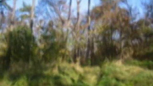 2011 Ноябрь Мама я