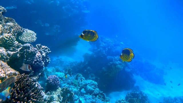 Underwater relaxation.