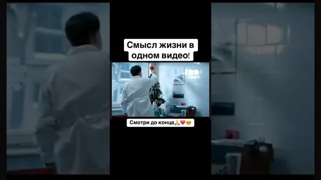 Смысл жизни