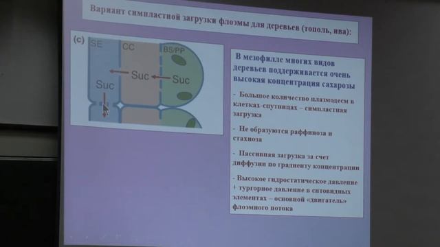 Носов А. М. - Физиология растений I - 11. Водный обмен растений, растительная клетка