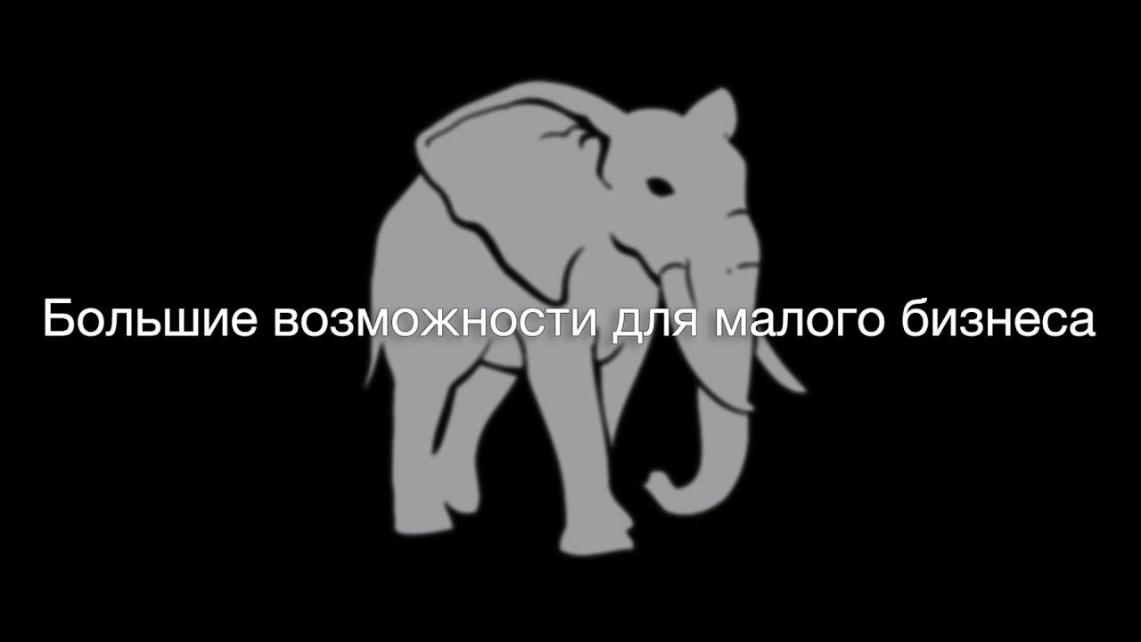 Управление ассортиментом - сервис помогает следить за продажами и остатками товара