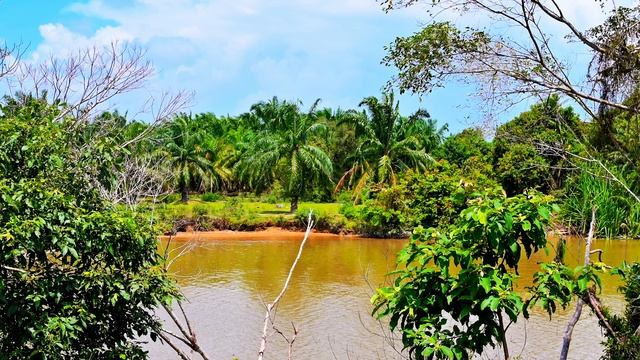 On The Way From Kampung Raja To Kuala Terengganu, Malaysia
