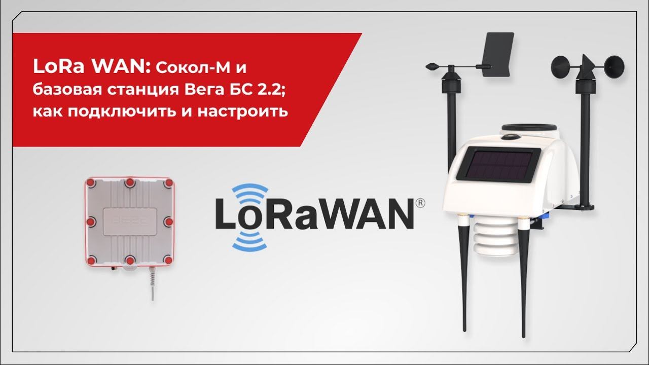 LoRa WAN: Сокол-М и базовая станция Вега БС 2.2; как подключить и настроить