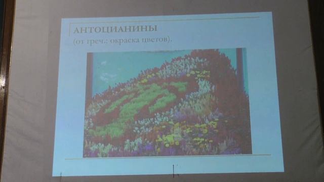 Лукашев Н. В. - Органическая химия. Часть 2 - 12. Фенолы. Хиноны