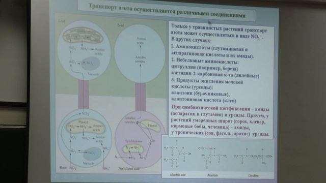 Носов А. М. - Физиология растений I - 8. Минеральный обмен растений