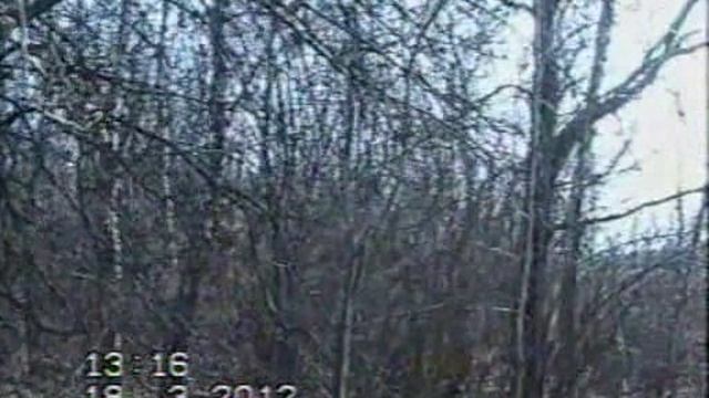 2012 Март Мама я