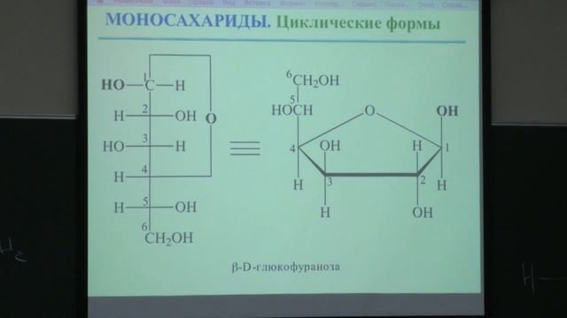 Зык Н. В. - Биоорганическая химия II - 4. Углеводы. Моносахариды
