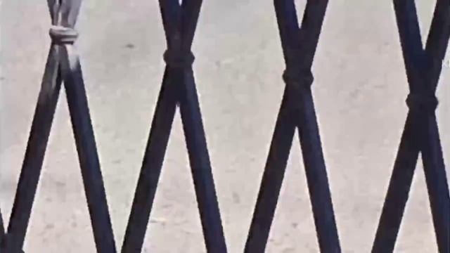 В квартире прекрасно? Санкт-Петербург. 8 выпуск - Пять углов