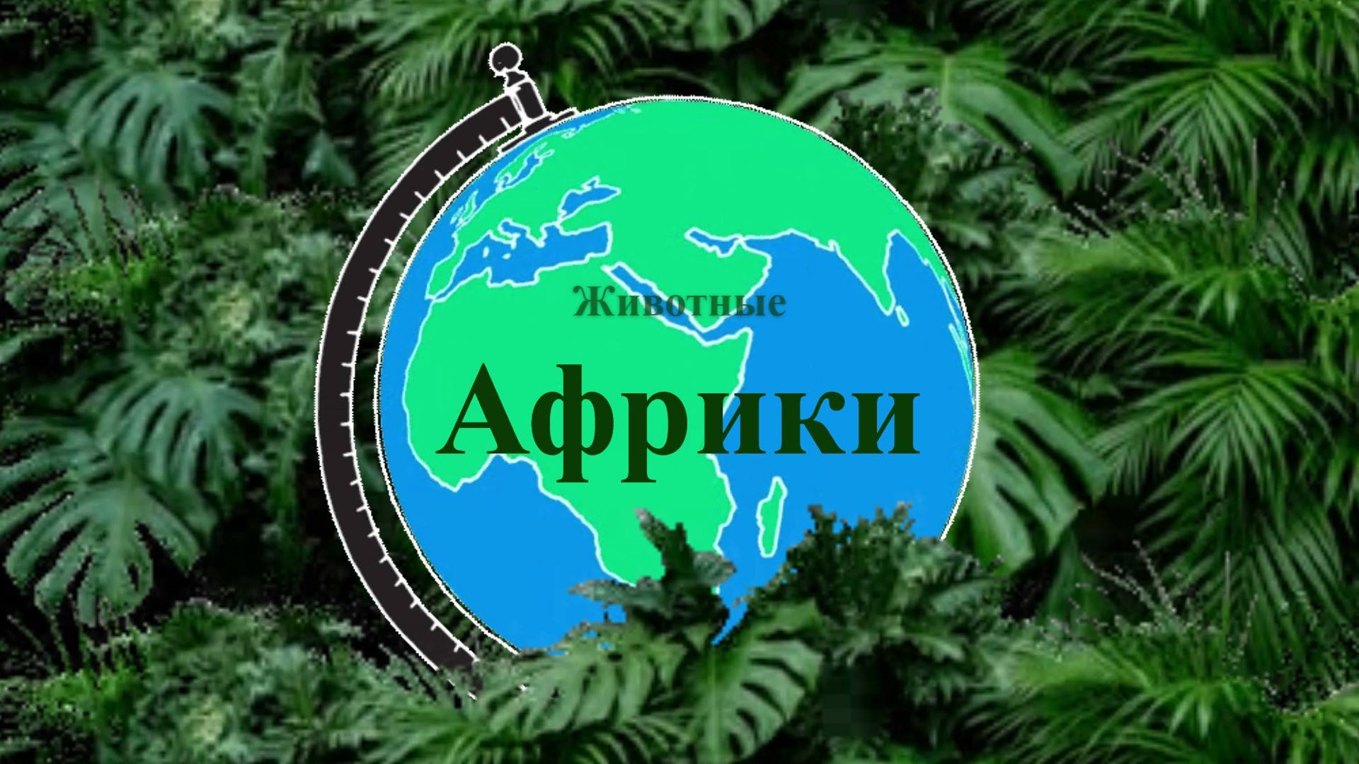 Животные Африки