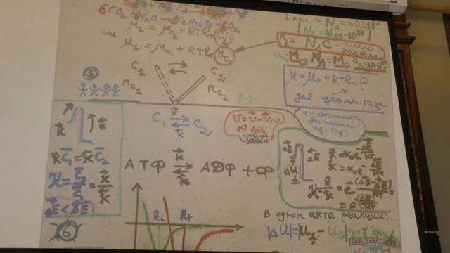 Рубин А.Б. - Биофизика. Часть 1 - 6. Термодинамика ферментативных реакций