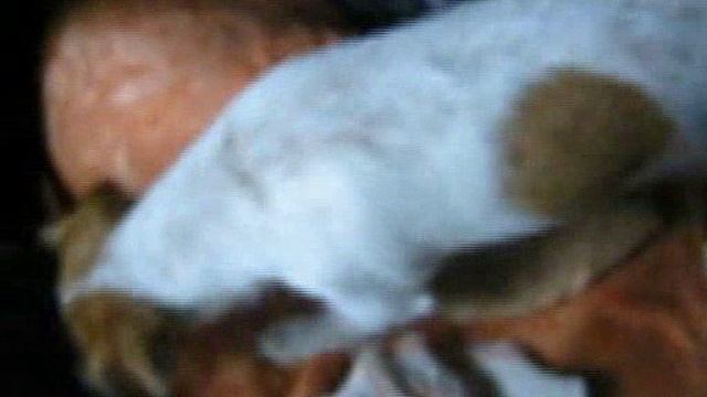 2012 Апрель Мама я