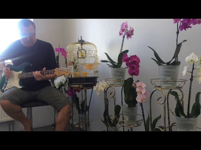 Рок Орфей Кенар вокалист