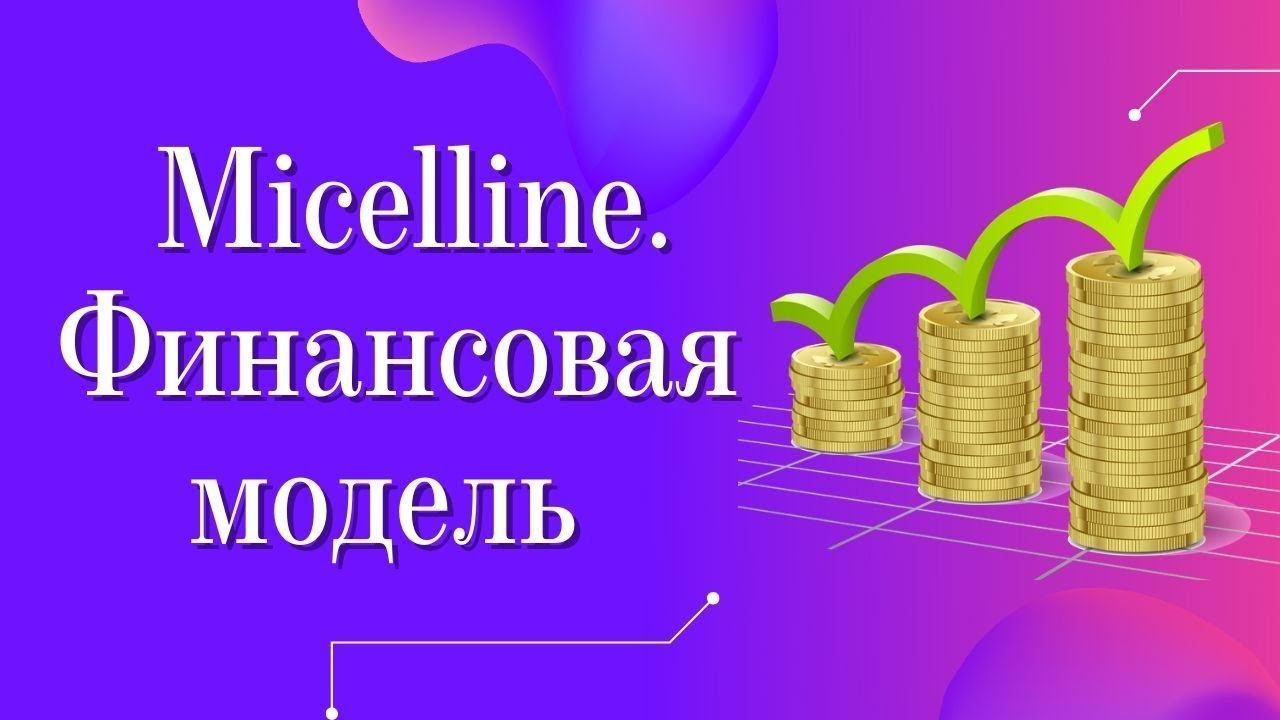 Финансовая модель компании Мицелайн