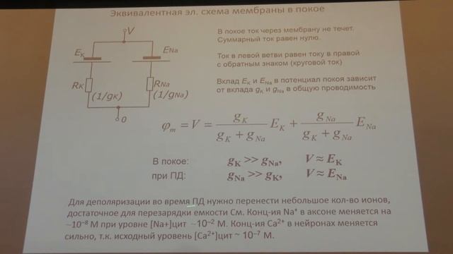 Рубин А.Б. - Биофизика. Часть 1 - 10. Мембранный транспорт в клеточных процессах, ч. 2